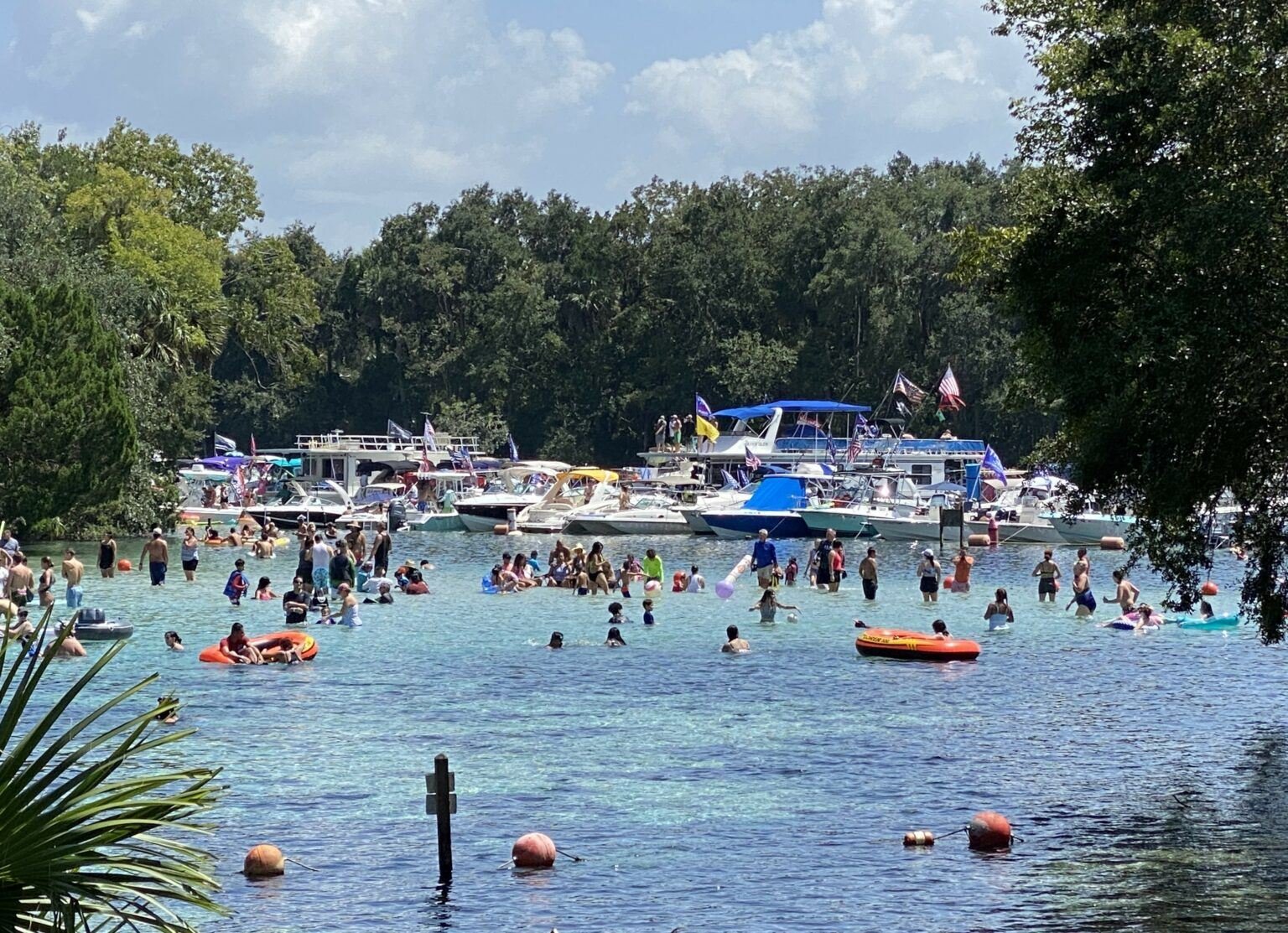 Silver Glen Springs - Dennis Consorte