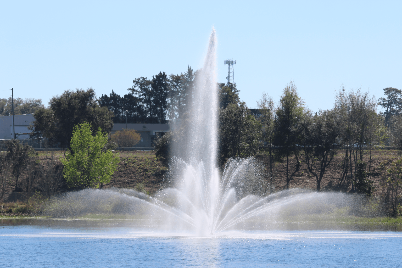 Cooter Pond Park - Dennis Consorte